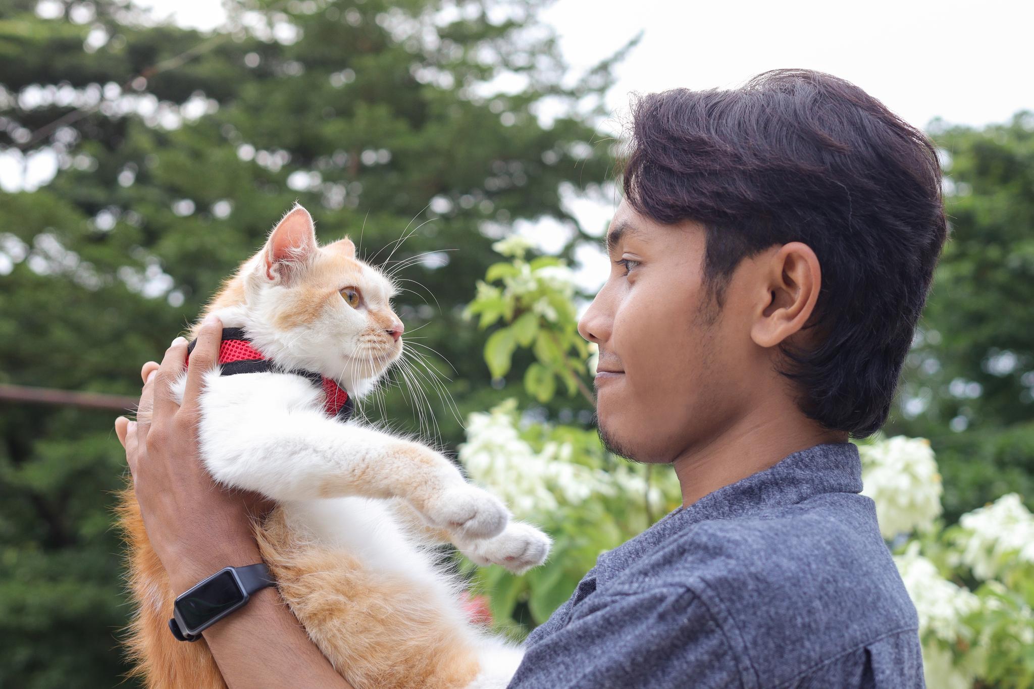 Pet Unity: Creating Happy Moments with Your Pets